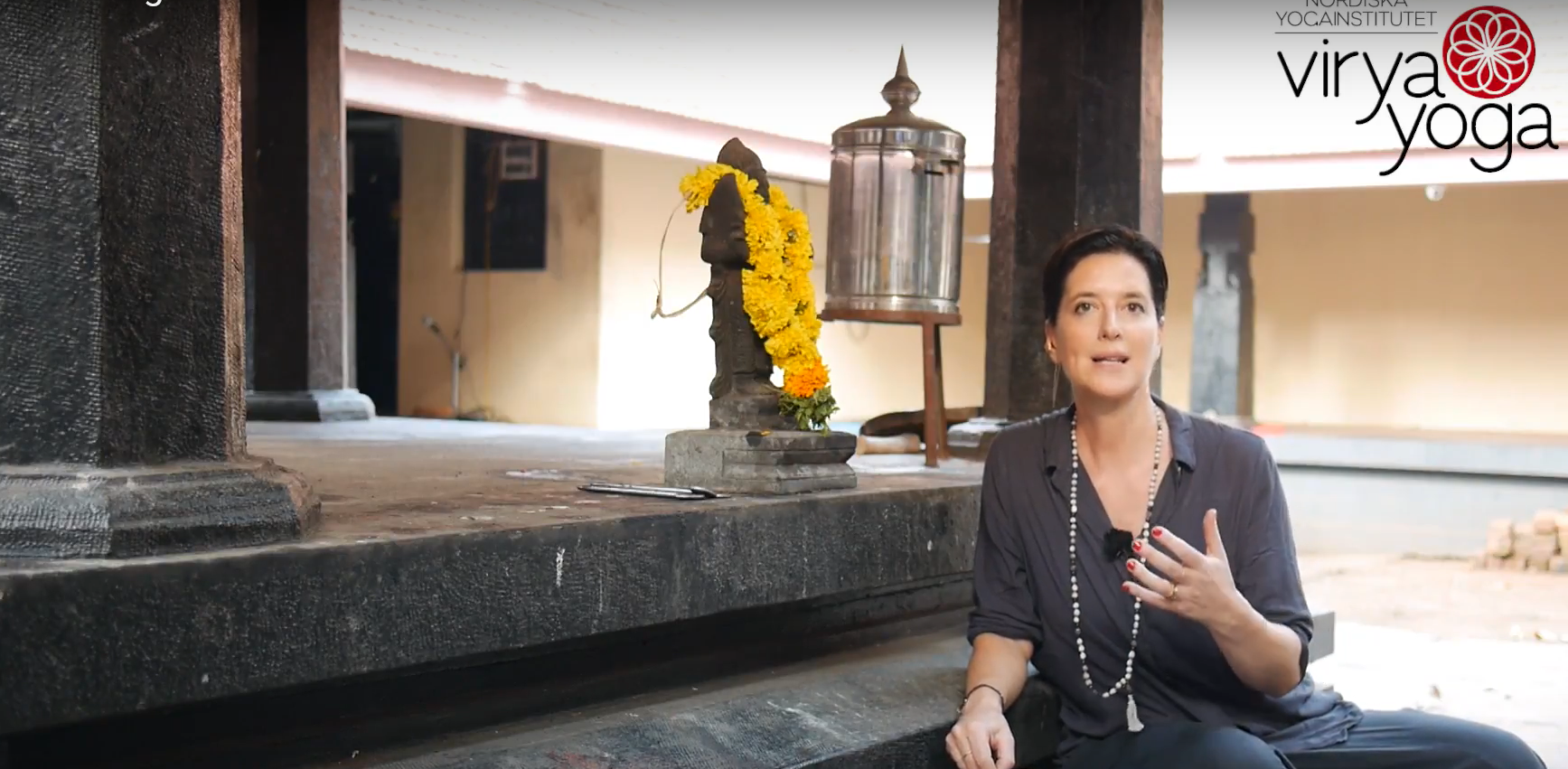 Nordiska Yogainstitutet - Djupdyk i yogans värld. Utbildningar, kurser ...