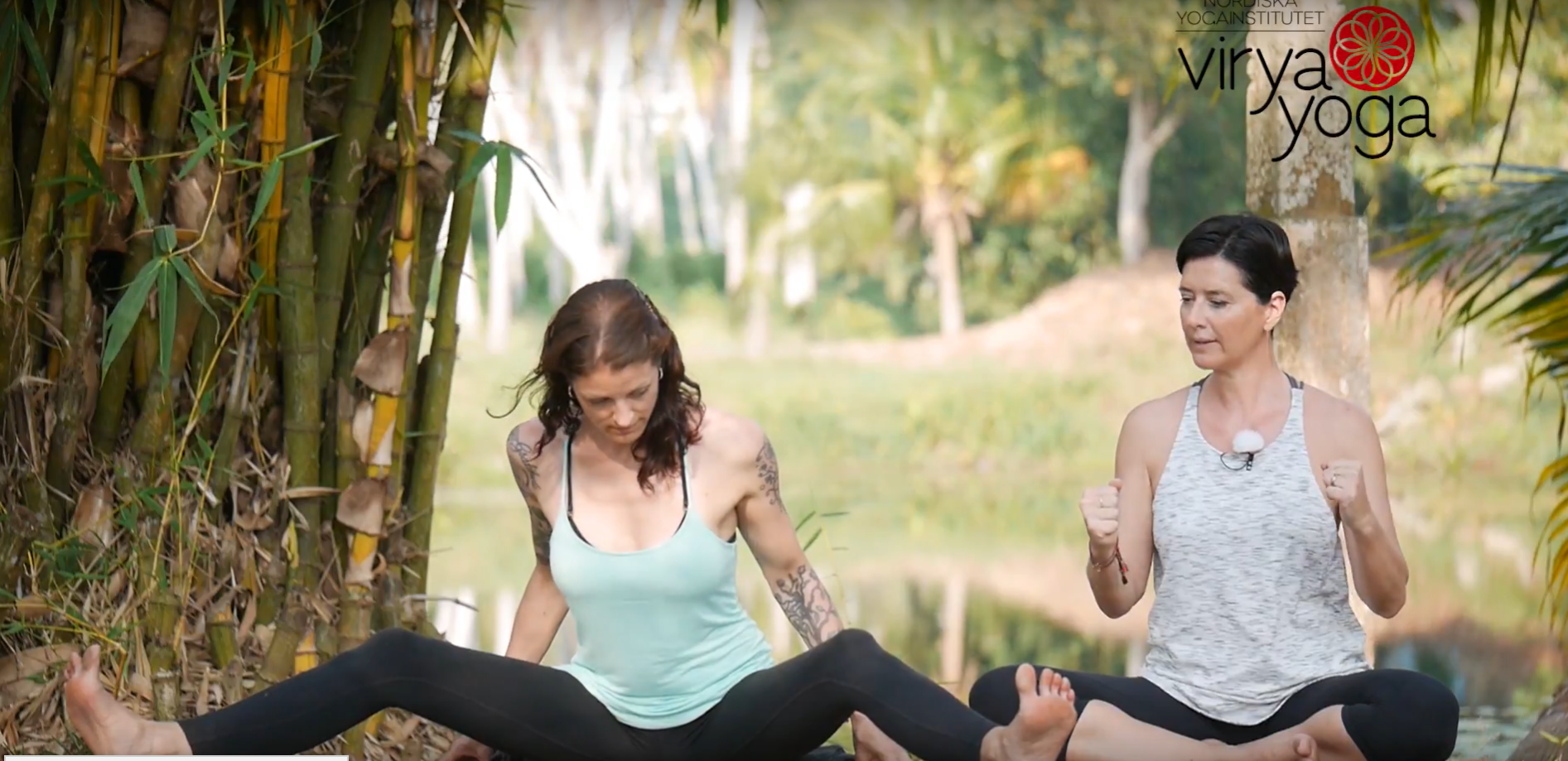 Nordiska Yogainstitutet - Djupdyk i yogans värld. Utbildningar, kurser ...