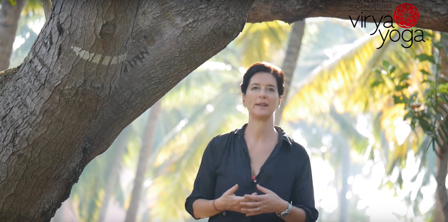 Nordiska Yogainstitutet - Djupdyk i yogans värld. Utbildningar, kurser ...